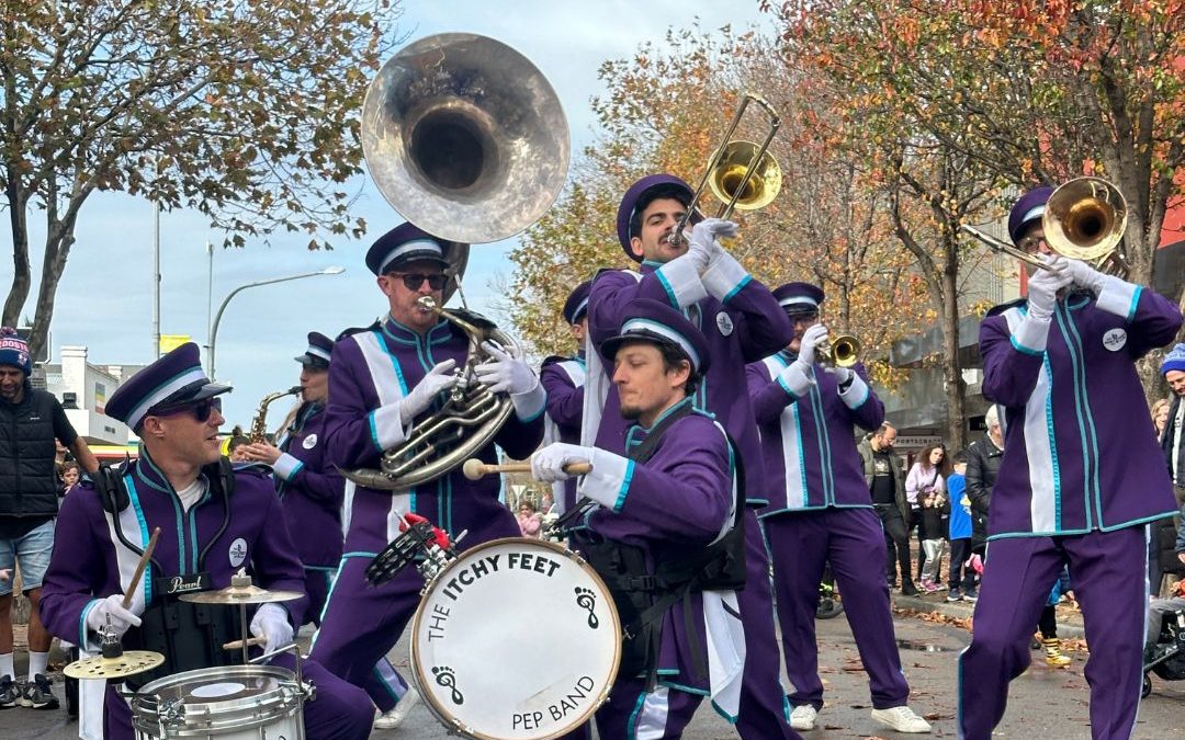 Projects | Mornington Winter Music Festival